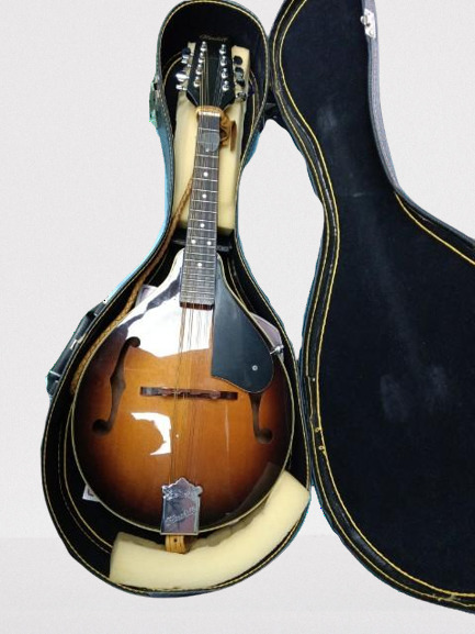 Flinthill Mandolin | Walt's Pawn & Jewelry Buyer